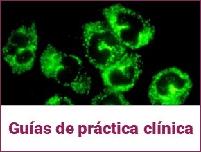 Guías: diagnóstico y tratamiento de las vasculitis asociadas a ANCA ...